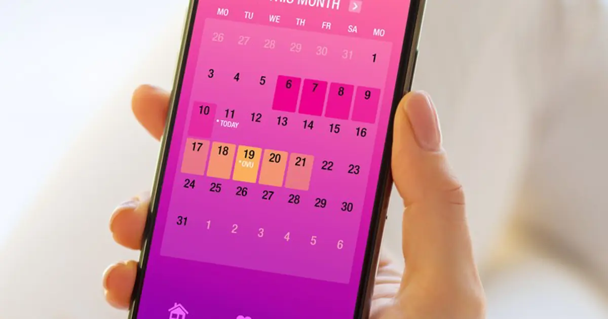 The menstrual cycle: What is menstruation?